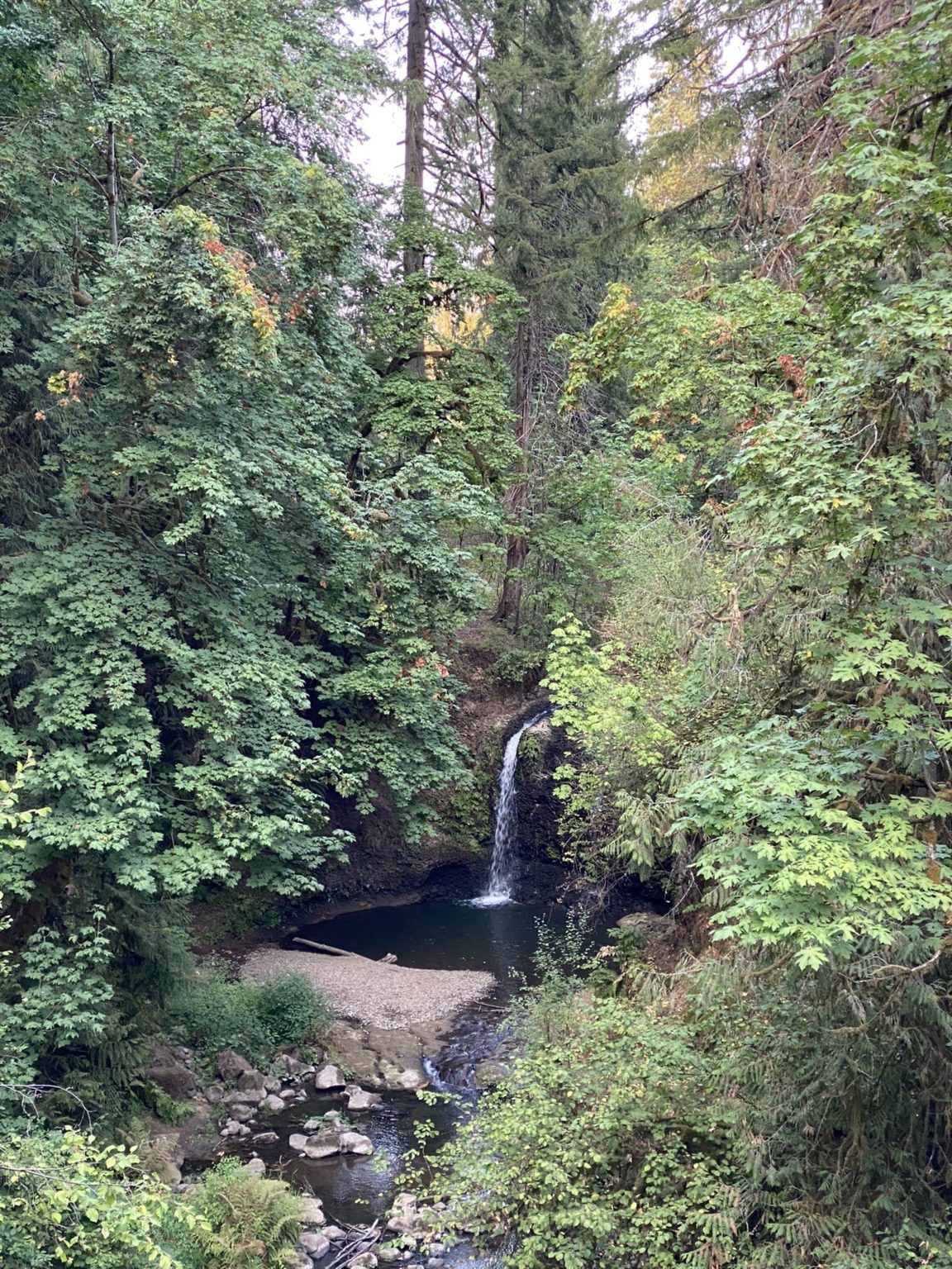 Neighborhood We Love: Happy Valley - PDX Parent