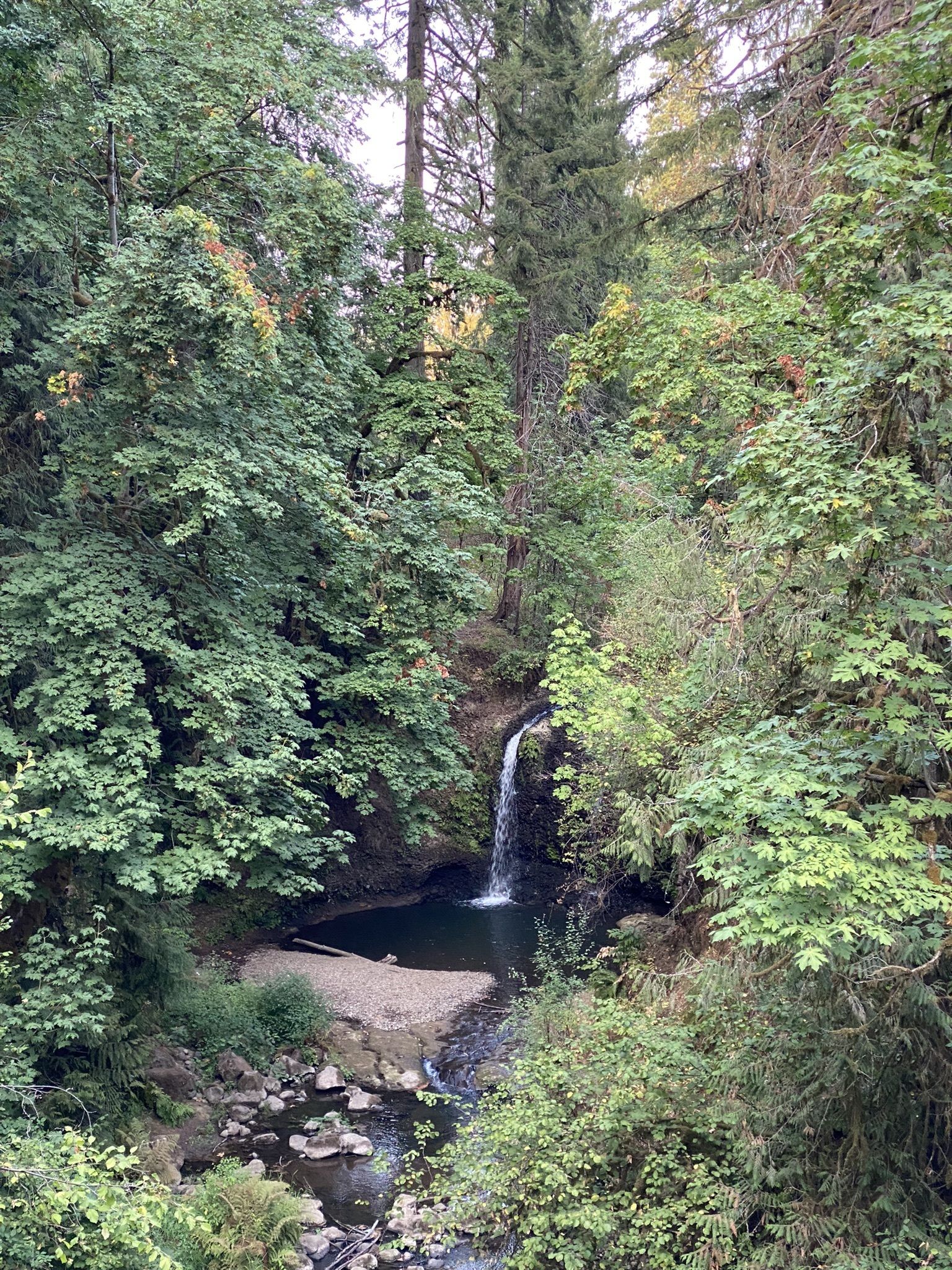 Neighborhood We Love: Happy Valley - PDX Parent