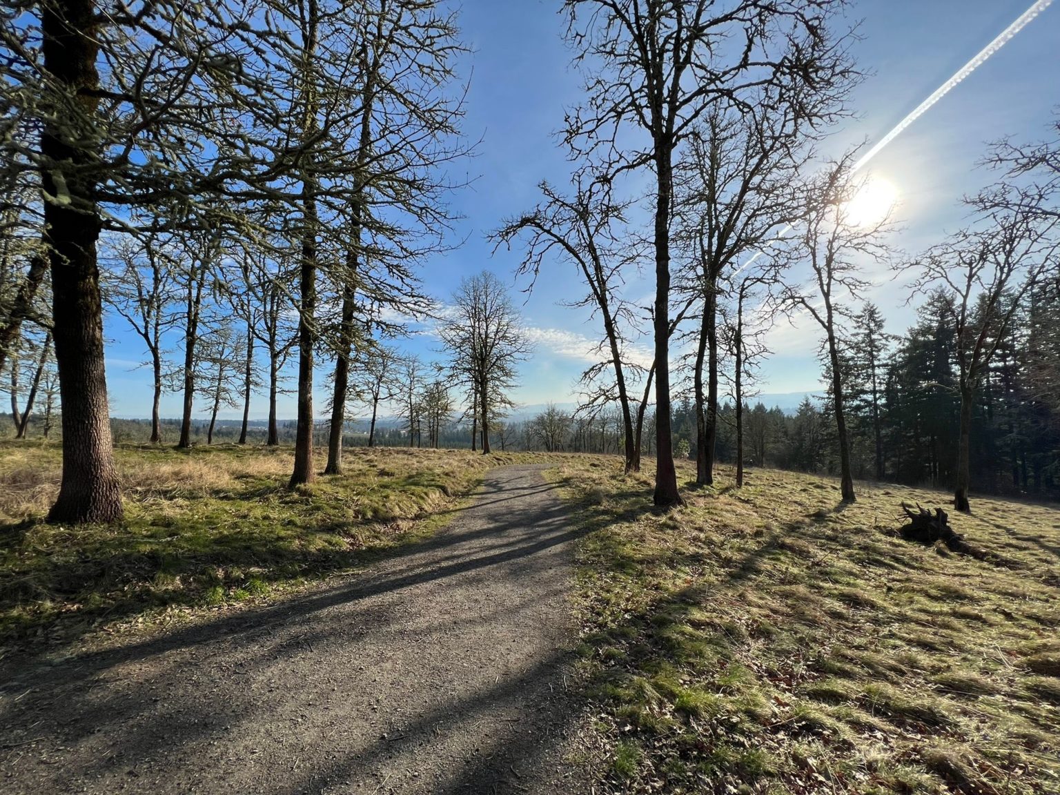 5 Fantastic Winter Hikes Near Portland