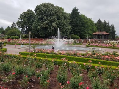 Where to See Portland’s Best Spring Blooms: Cherry Blossoms, Tulips & More