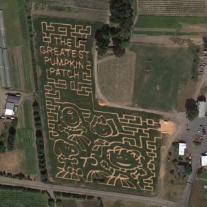 The Best Pumpkin Patches in and near Portland, OR